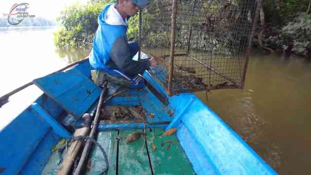 Ketika Ikan Pulang, Udang Galaksi Keluar
