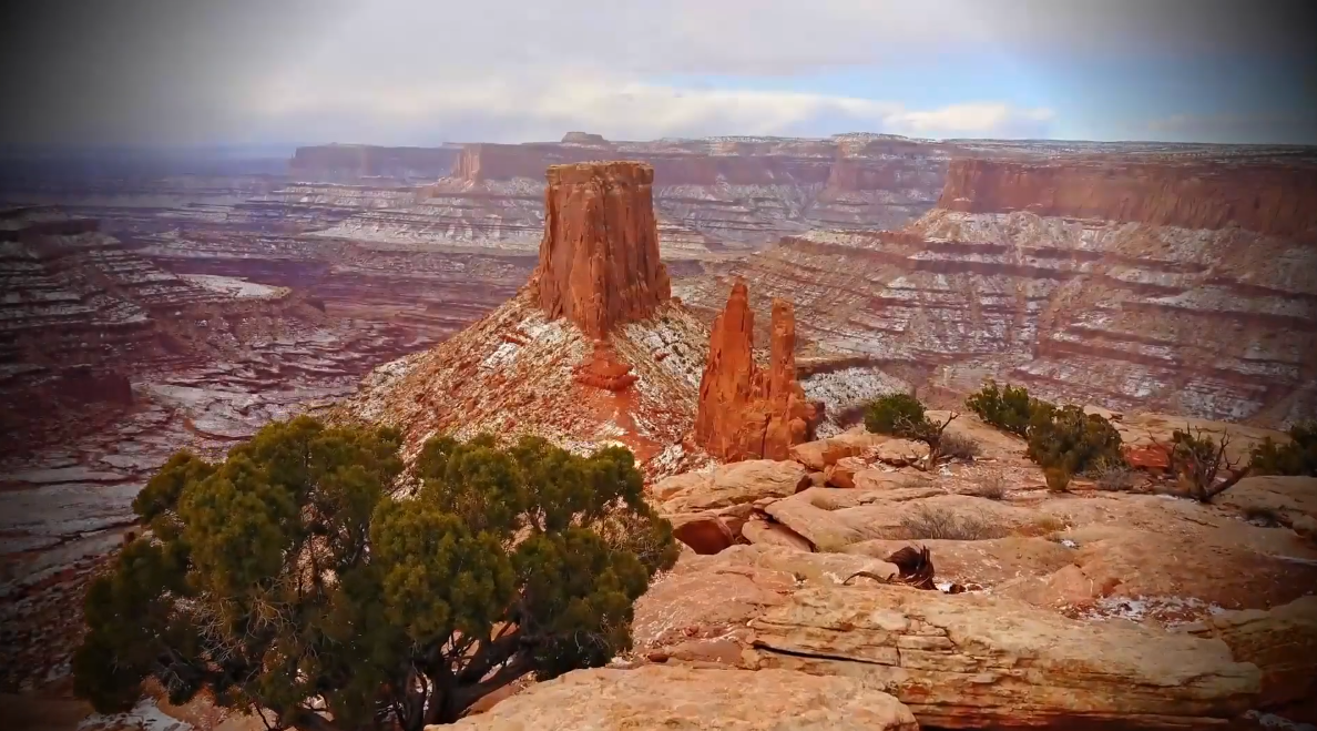 Couple Races Into the Woods After Hearing a Girl Crying for Help