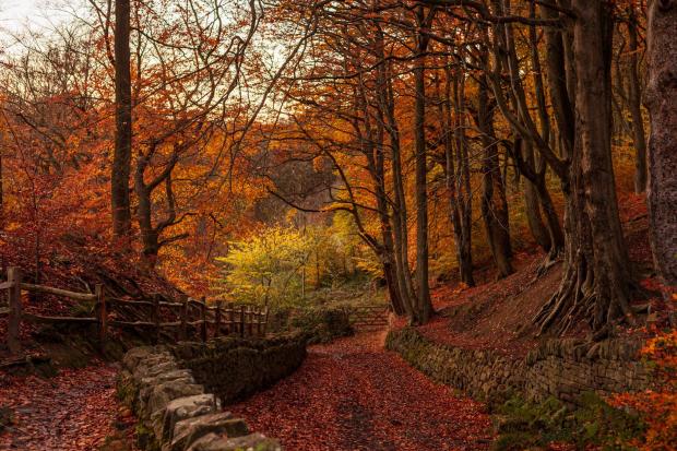 Crowdfunding campaign launched to support newly designated nature reserve