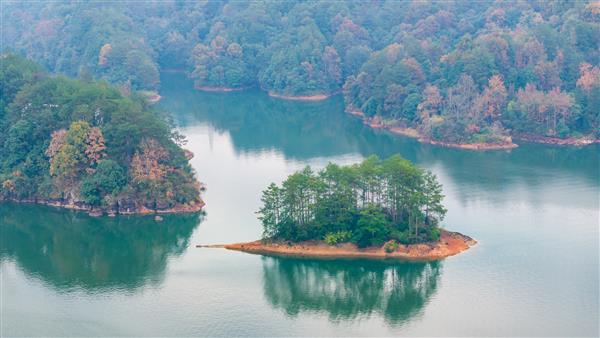 夜舞——泰宁摄影展（第七辑）