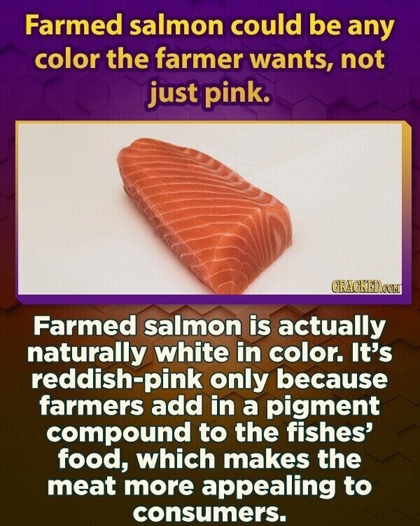 18 Unearthed Facts You Don't Have to Dig For