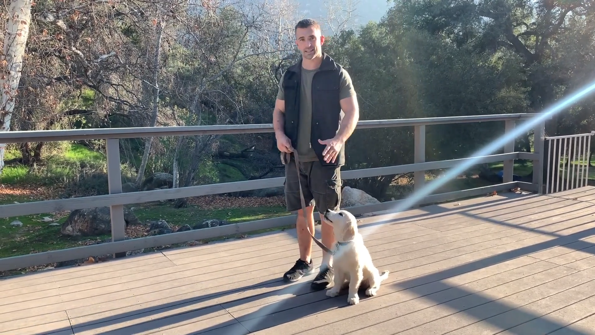 How to Train Your Dog to Sit Automatically When You Stop