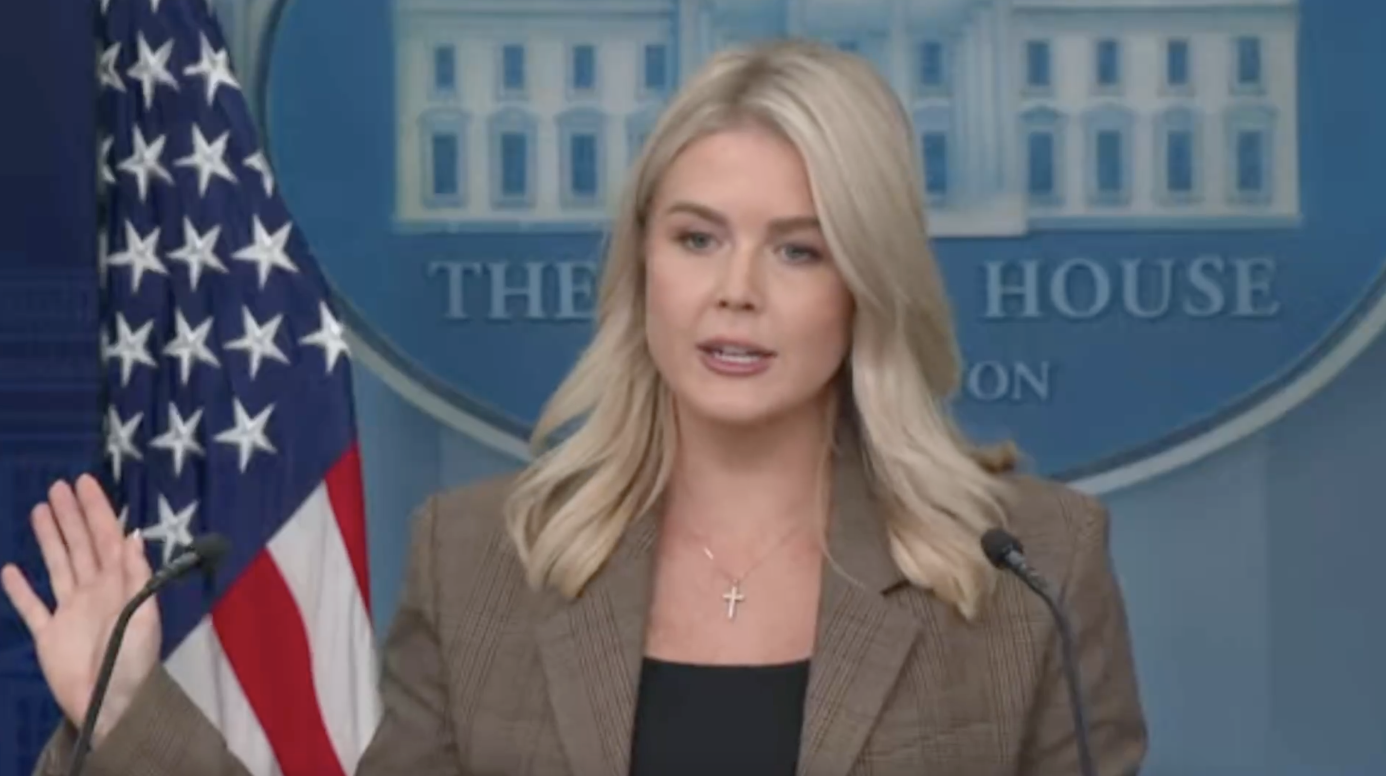 'They Can Expect Consequences': Karoline Leavitt Lashes Out, Threatens ...