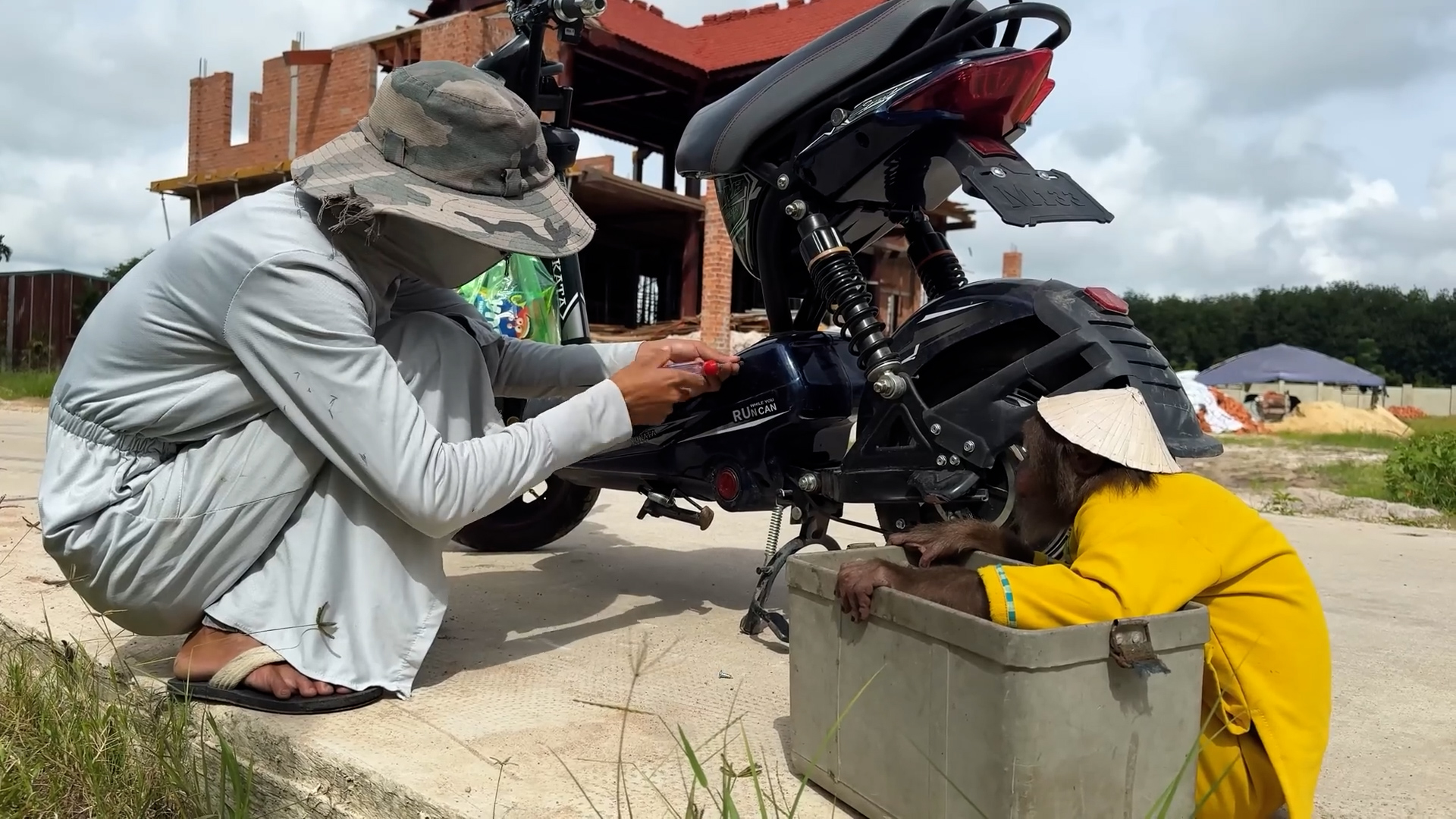 Baby Monkey Helps Strangers