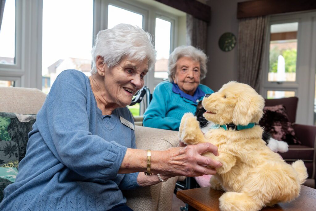 Care home residents given robot pets to tackle loneliness