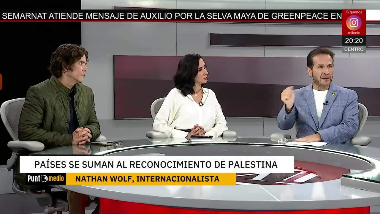 Países reconocen a Palestina; piden a Israel alto al fuego | Pedro ...