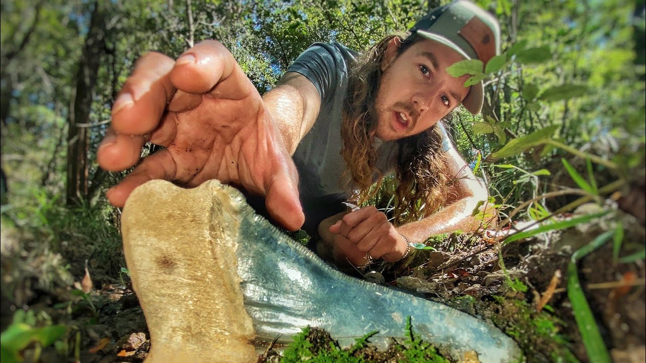 Megalodon Fossil Hunting in Florida