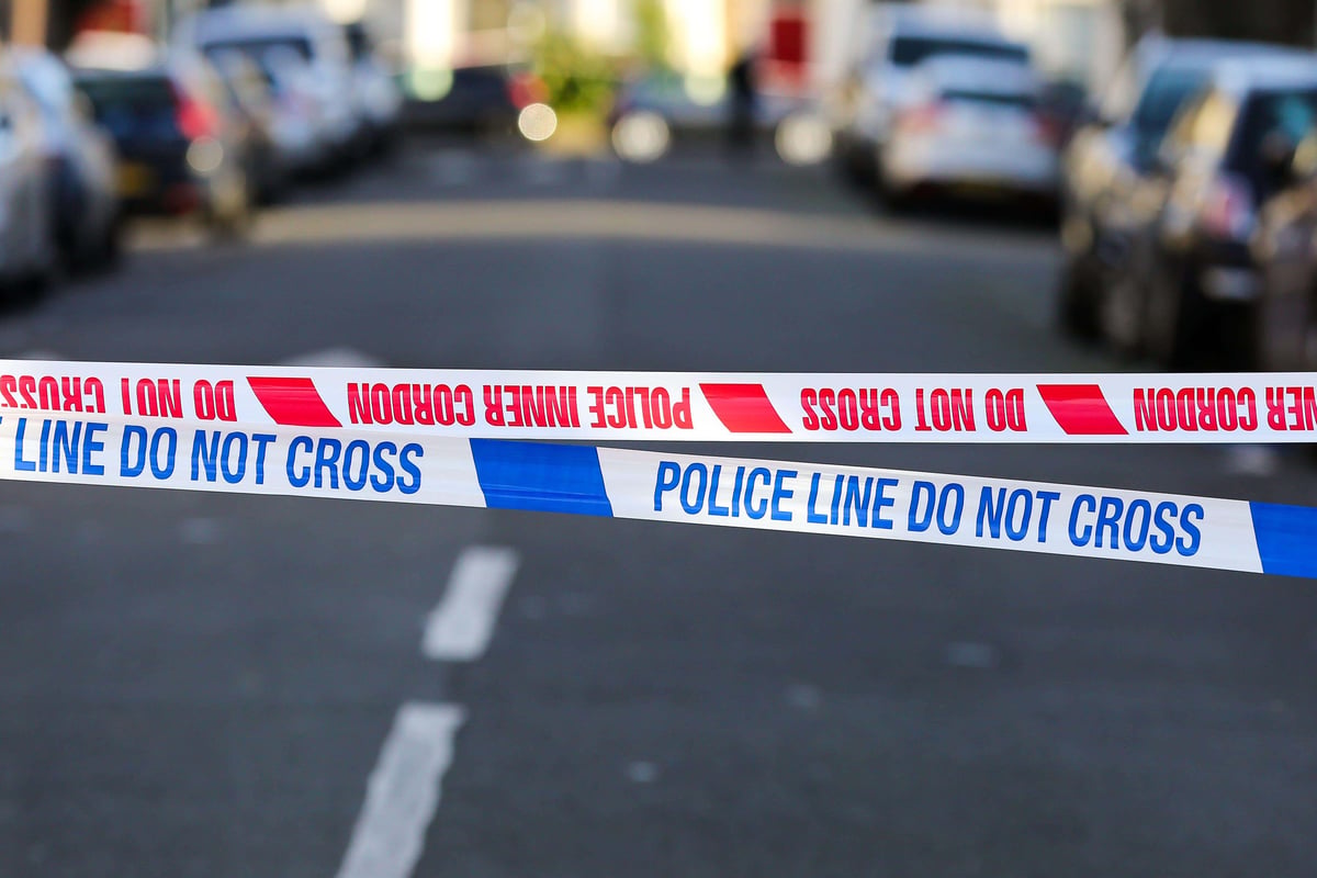 Murder probe launched as man dies in double stabbing in east London