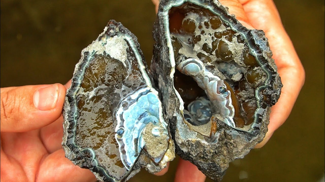 Found Incredible Agatized Coral Geodes While Rockhounding a Georgia River