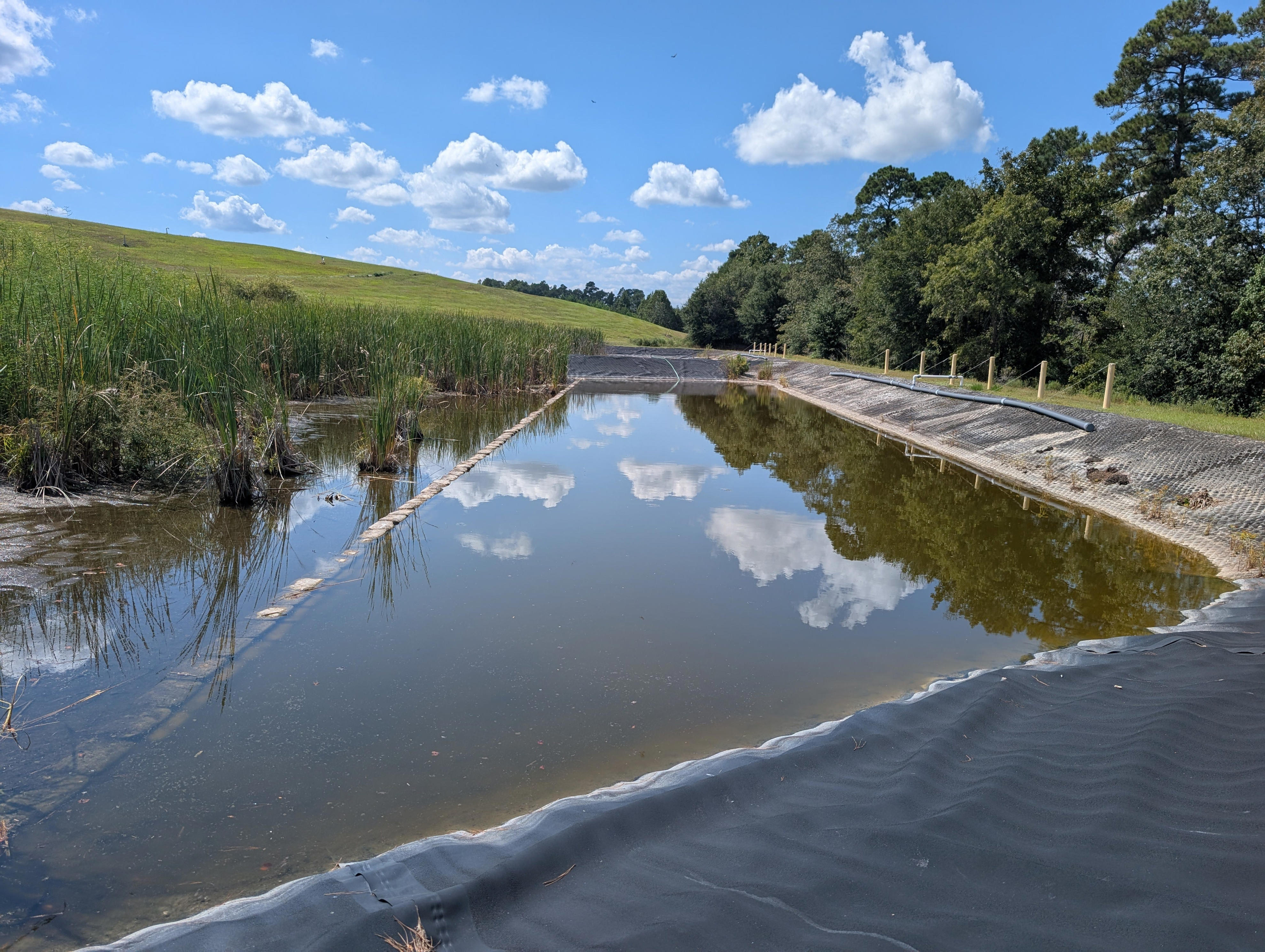 How manmade wetlands helped turn part of the New Hanover County ...