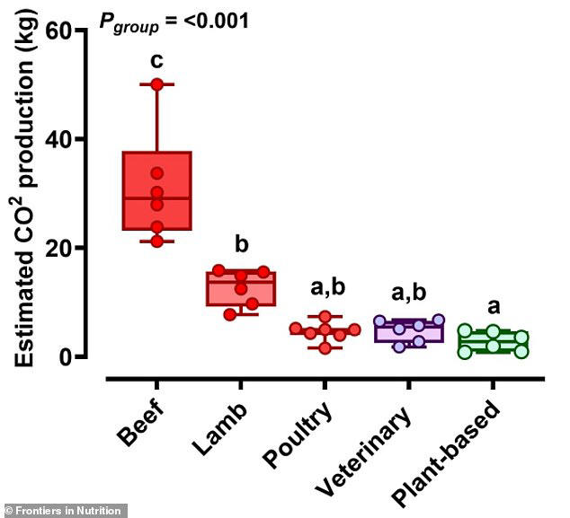 Now even DOGS are being told to go vegan! Plant-based pet foods are ...