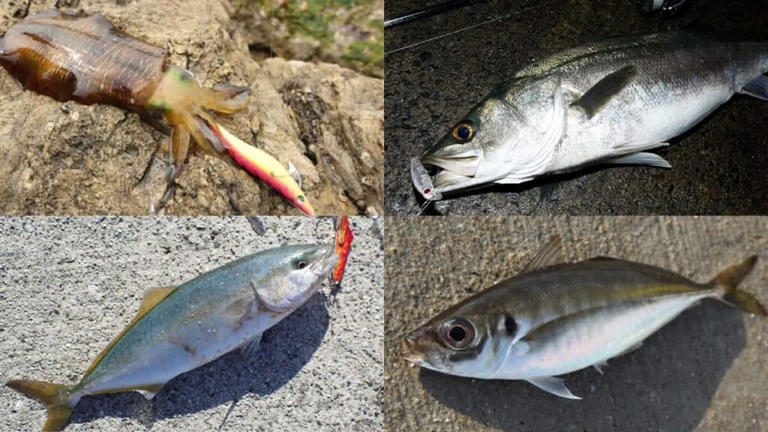 TOPS of the Heap: Qualcomm Unveils Snapdragon X2 Elite Extreme CPU With ...