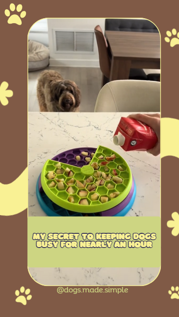 My Secret to Keeping Dogs Busy for Nearly an Hour
