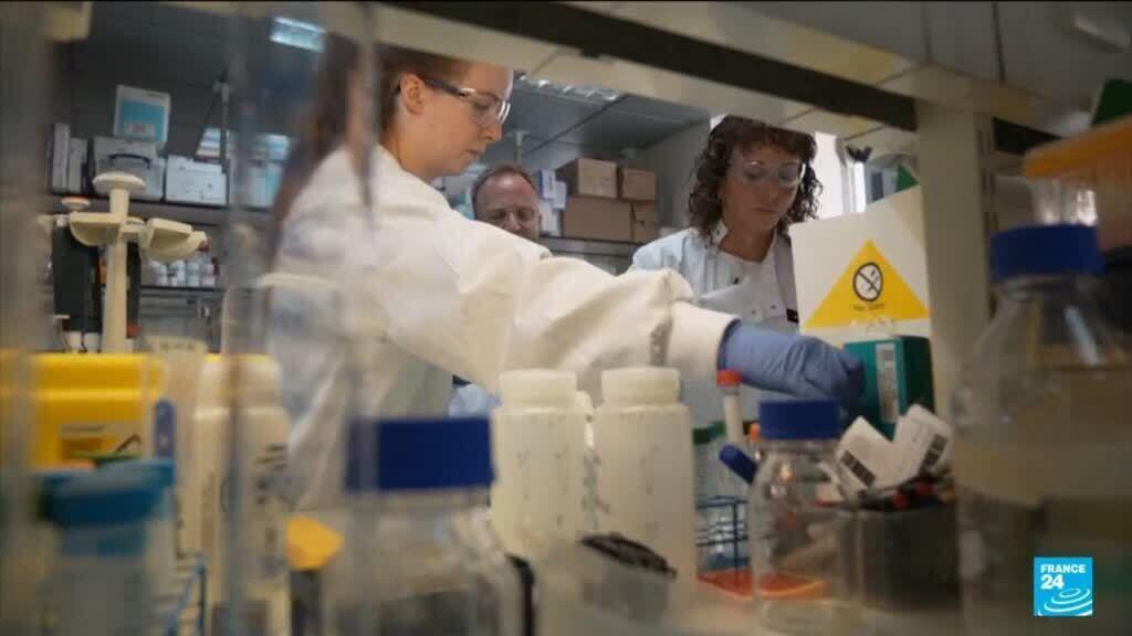 UK scientists slow Huntington's disease for first time