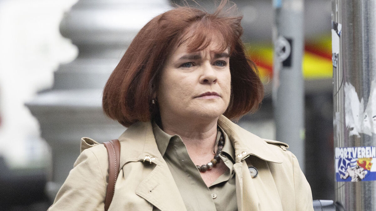 CHI boss told of HSE takeover just hours before news was made public
