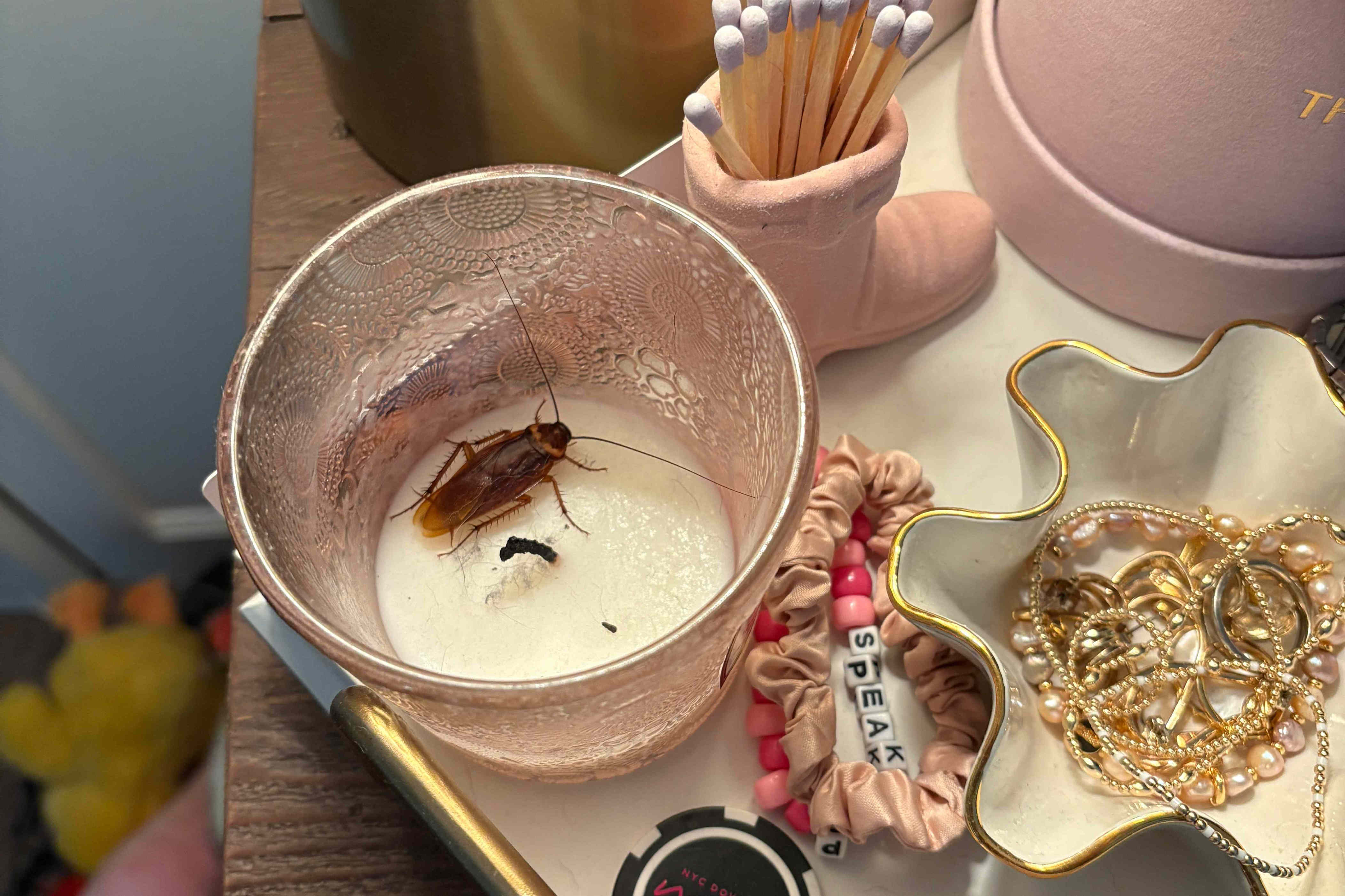 I Bought This Under-$10 Bait Trap After Finding a Roach in My Shoe, and ...