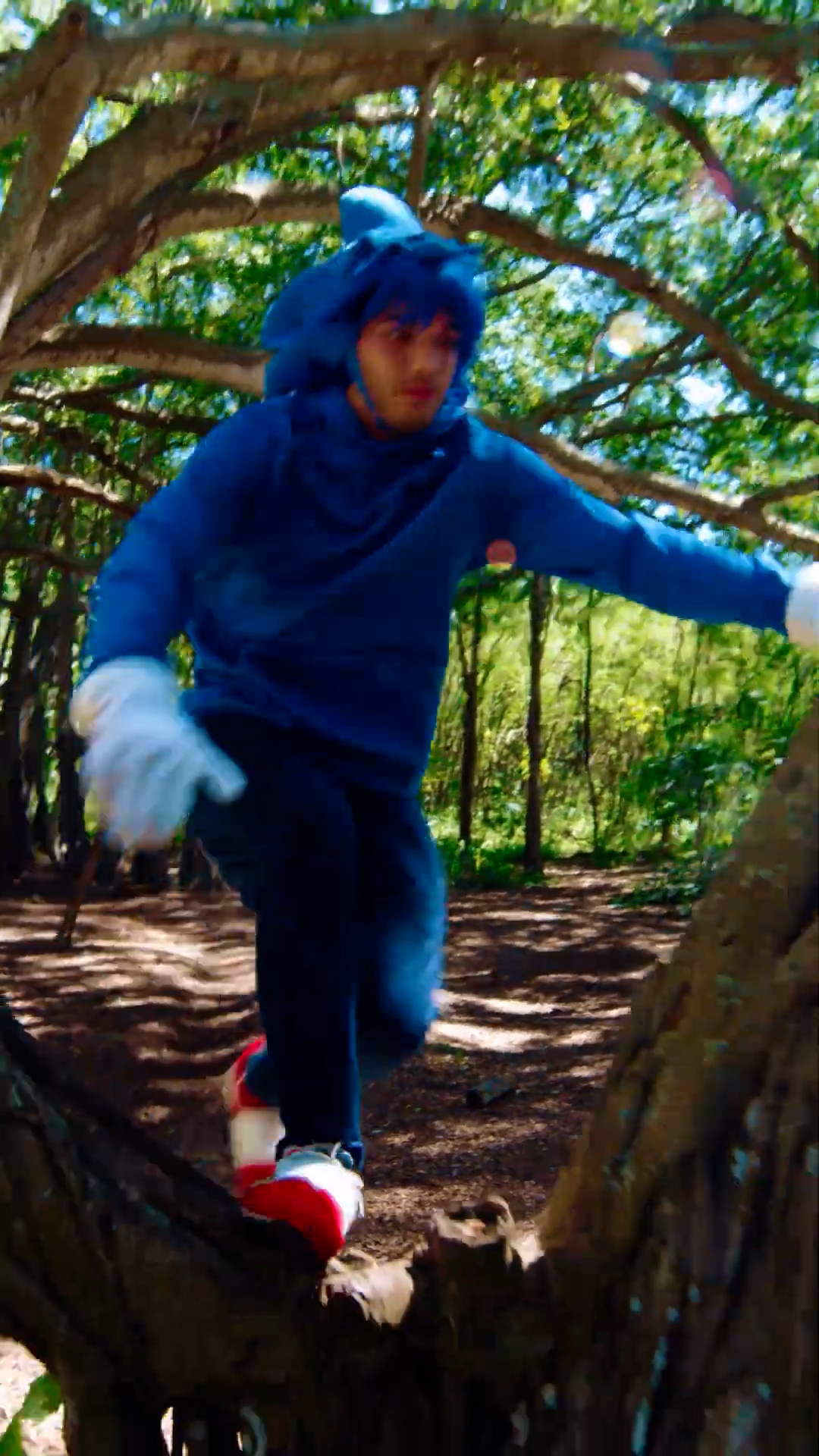 Sonic Parkour in Hawaii