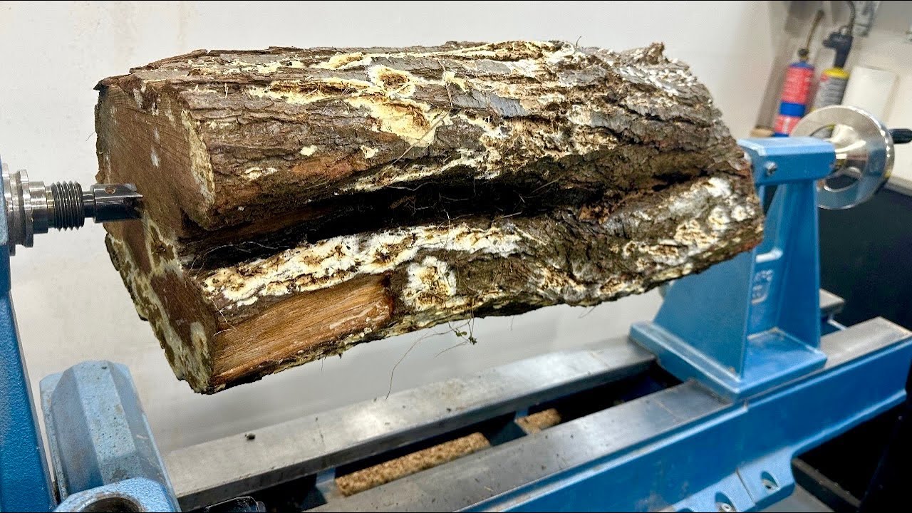 Cómo la madera podrida se convirtió en una obra maestra de espino