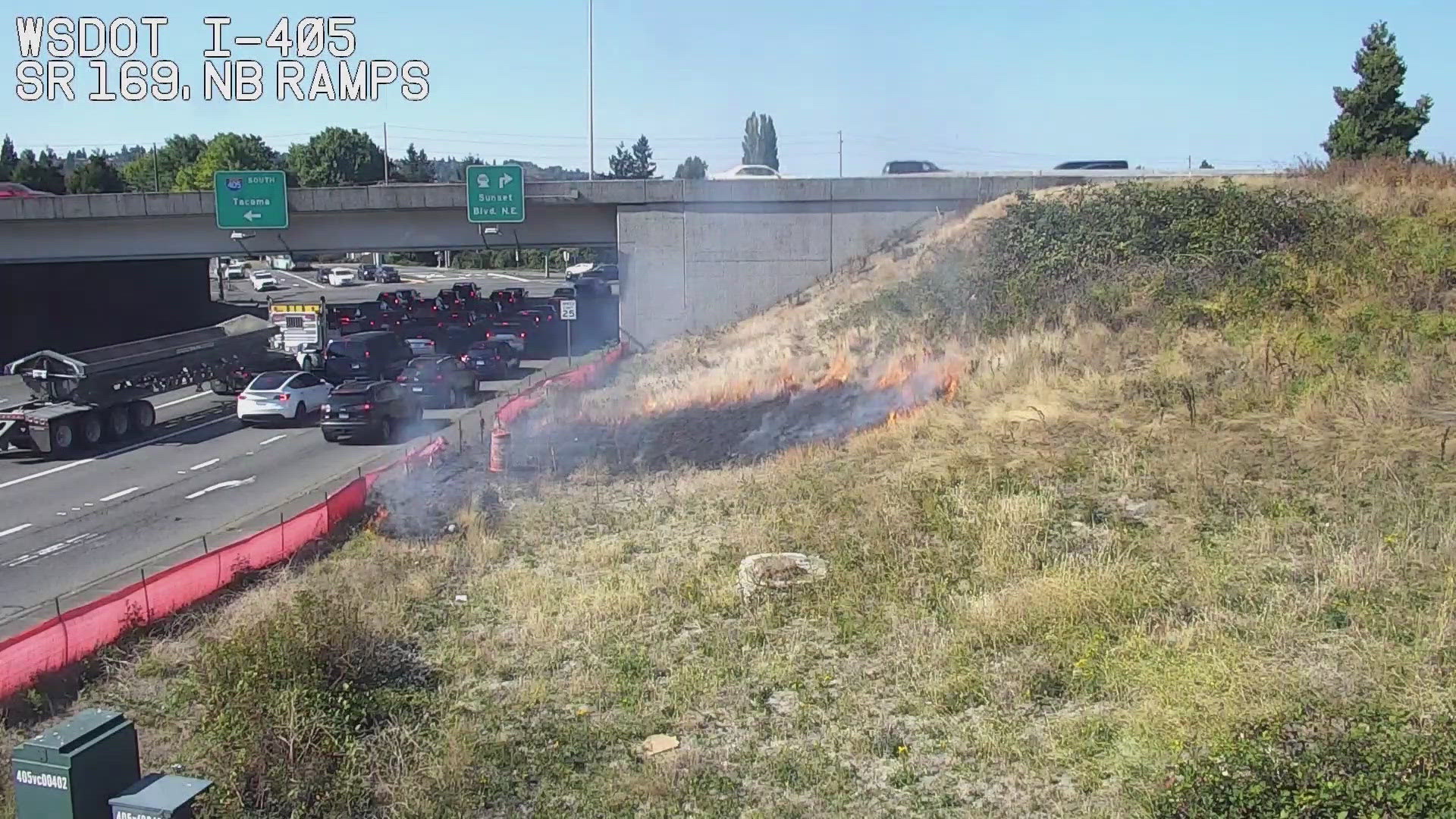 Brush fire breaks out near I-5 overpass