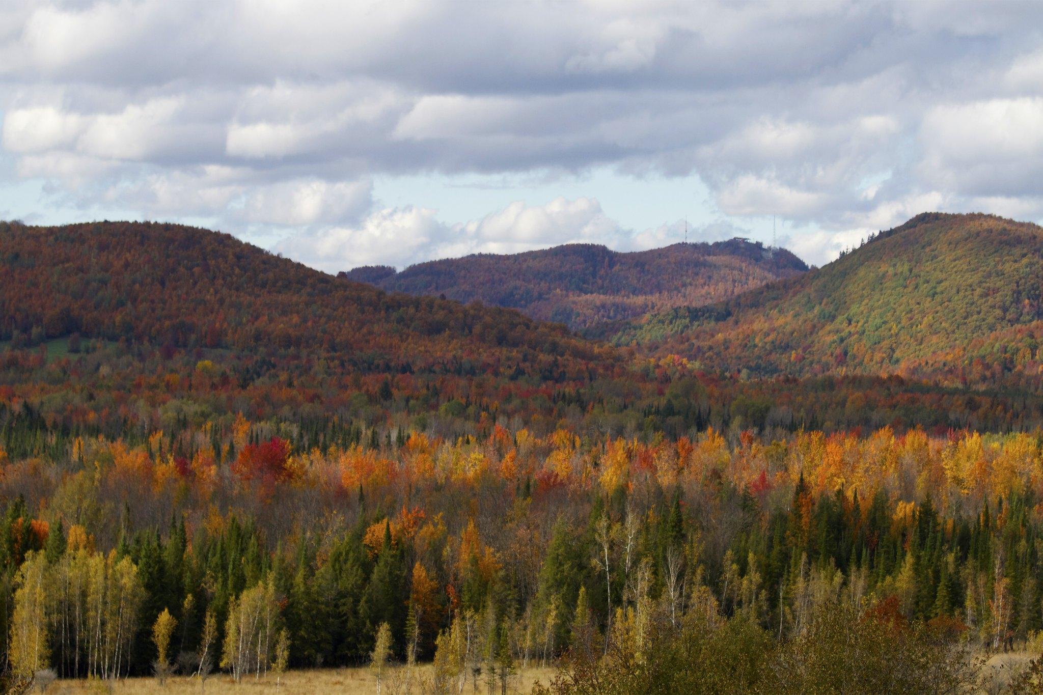 A guide to Quebec’s Eastern Townships: wine, cheese, and scenic villages