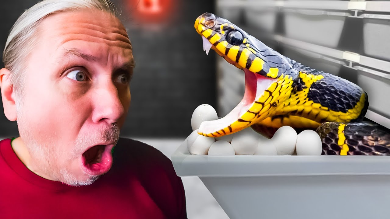 Angry Snake Protects Her Babies!