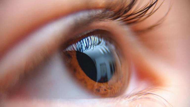 No es timidez | Esto significa realmente desviar la mirada cuando ...