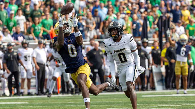 Italian Unions Call Strike as Gaza Flotilla Intercepted, Protests Erupt ...