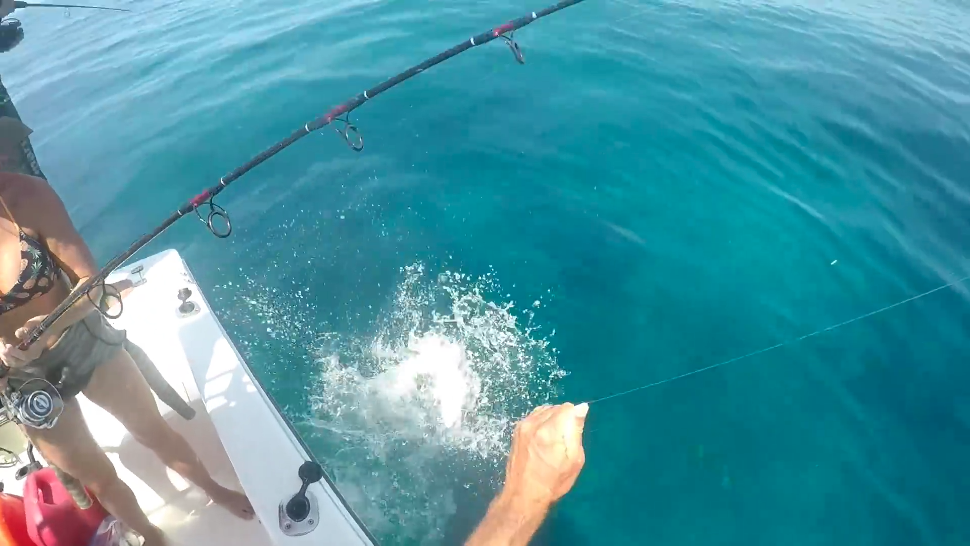 The Monster Fish That Emptied My Reel In Seconds