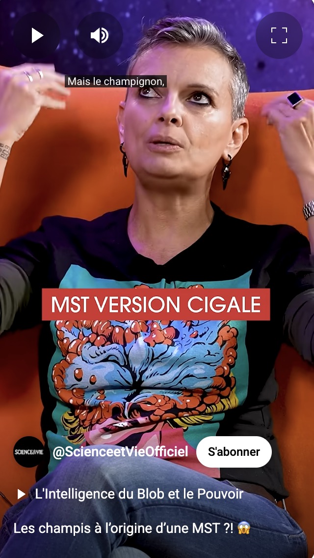Les champis à l’origine d’une MST ?! 😱