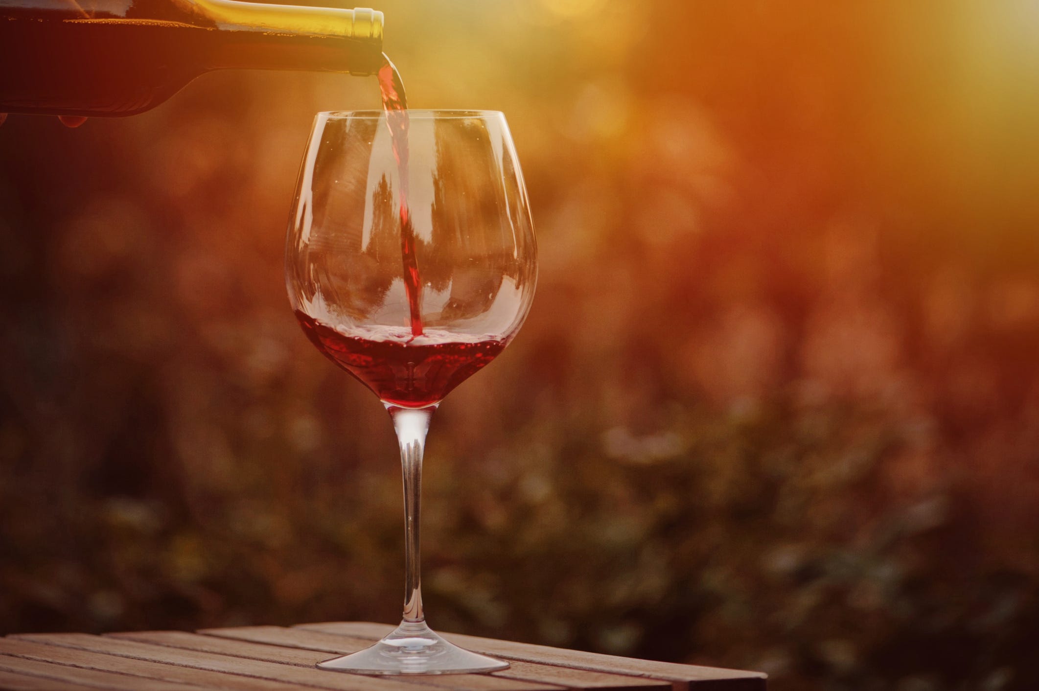 Fall in love with these must-do activities in Fort Collins this autumn