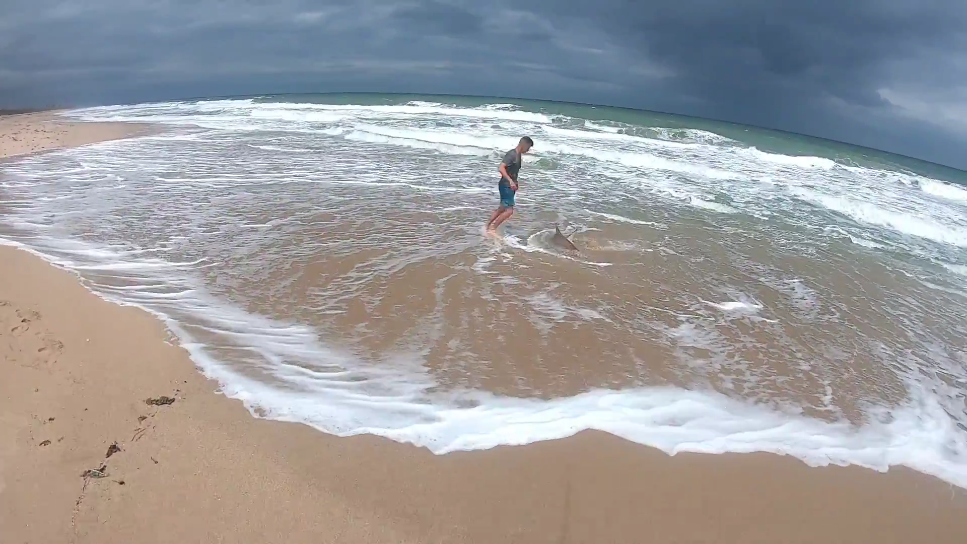 Big Shark Attack Caught on Camera