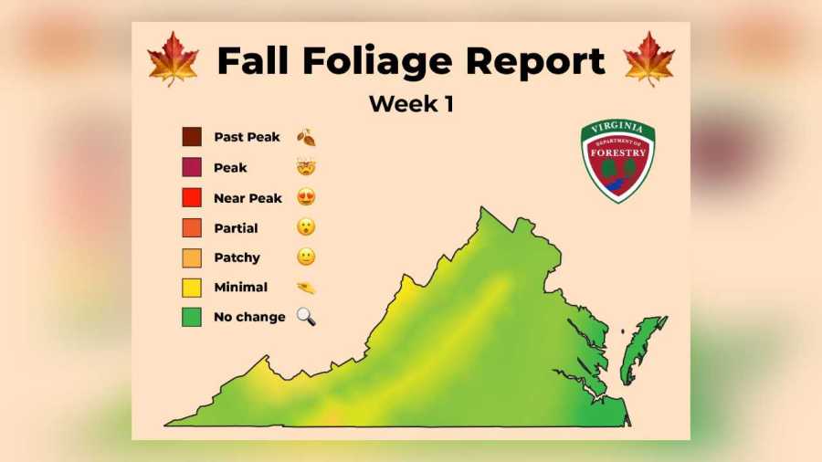 Virginia’s first fall foliage report of 2025 shows slight color changes ...