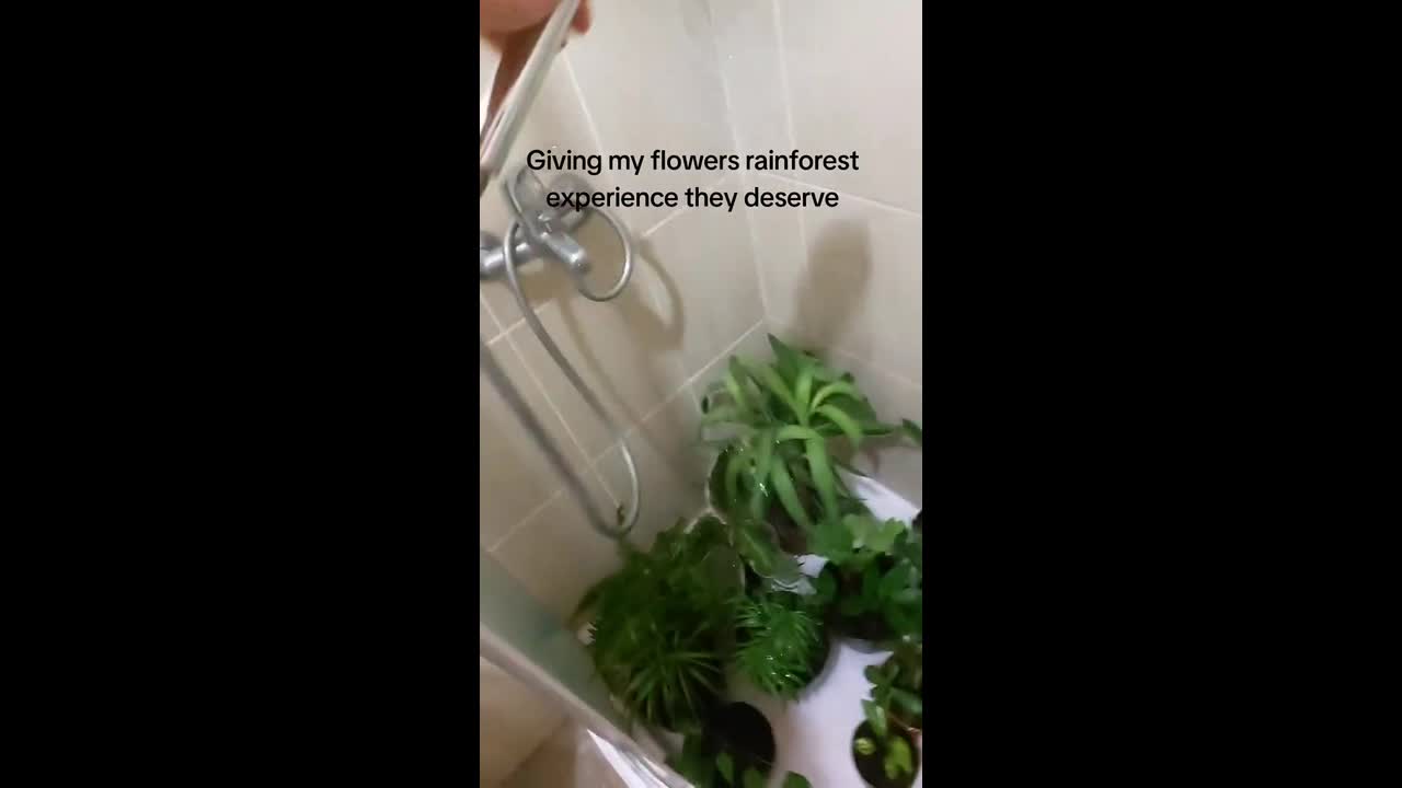 Man makes animal noises and showers plants in attempt to give them ...
