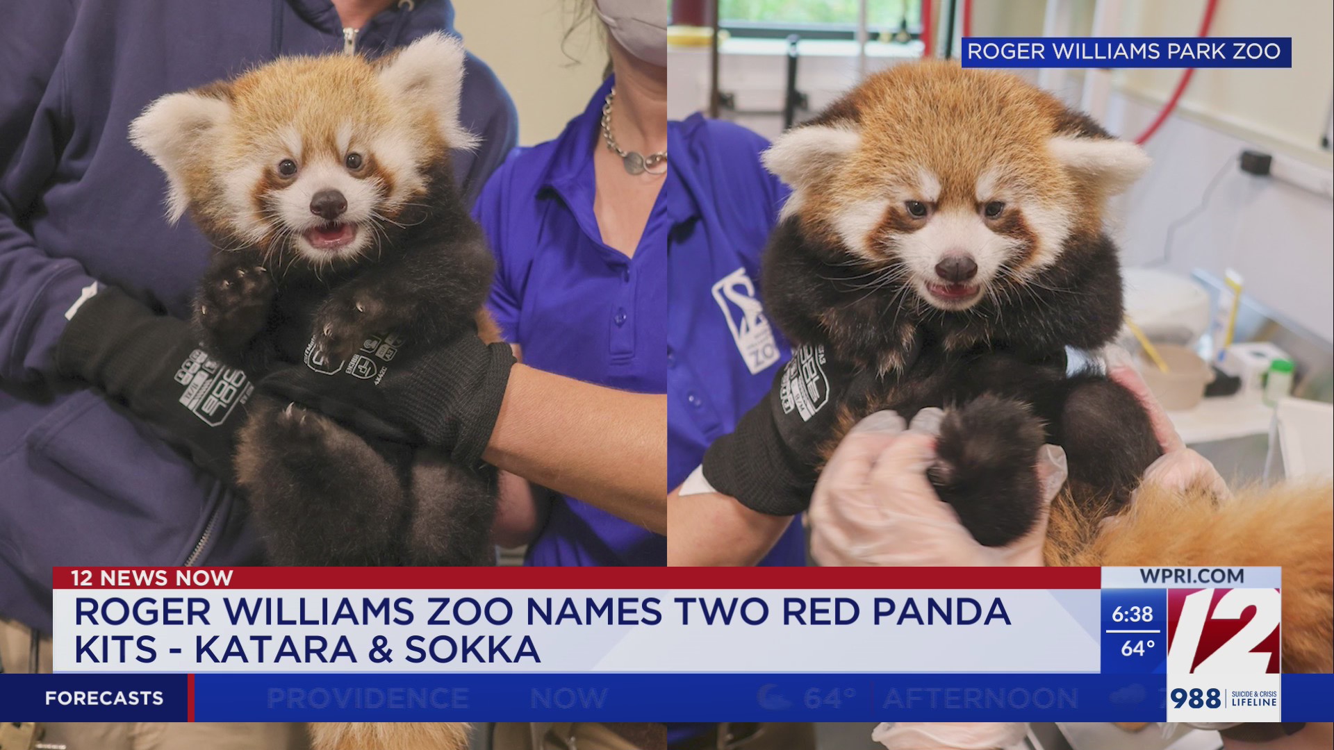 Roger Williams Park Zoo unveils names of twin red pandas