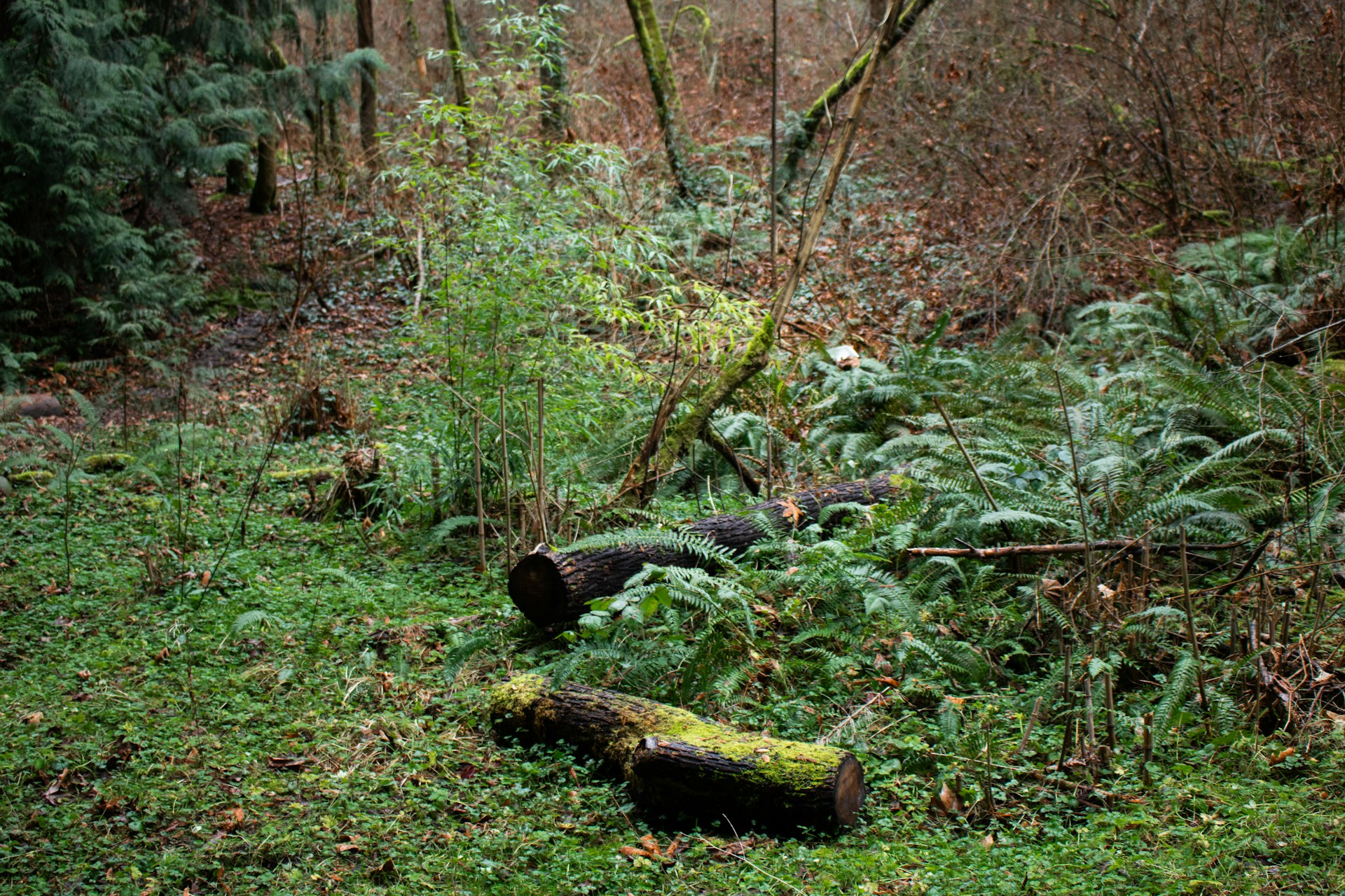 10 Steps to Build a DIY Underground Bushcraft Survival Shelter
