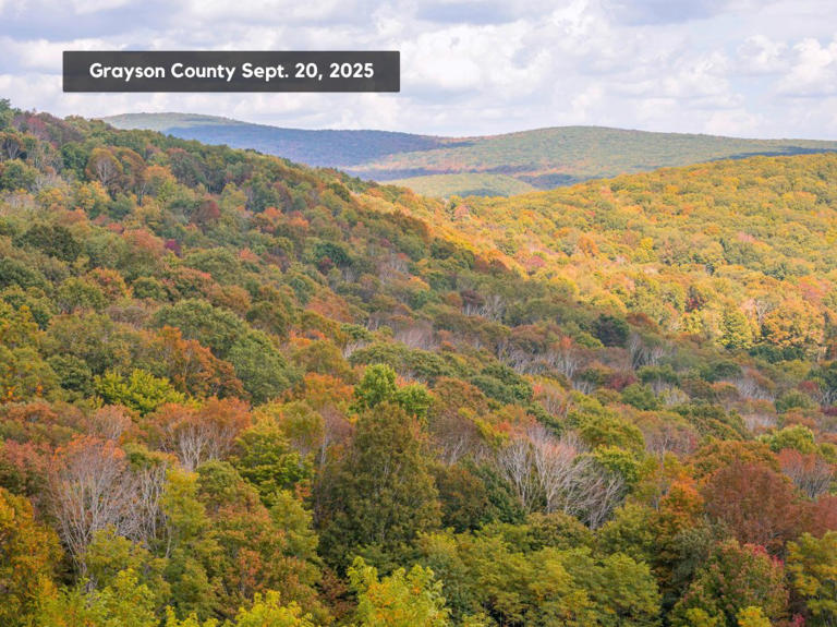 Virginia’s first fall foliage report of 2025 shows slight color changes ...