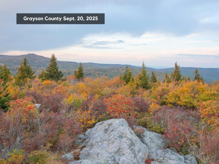 Virginia’s first fall foliage report of 2025 shows slight color changes ...