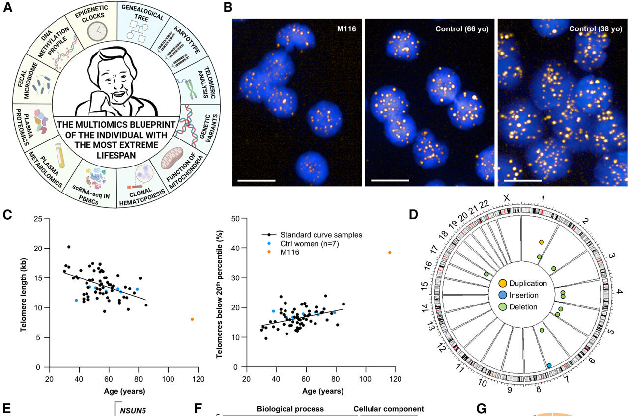 Study of the world's longest-lived person reveals rare genes and good ...