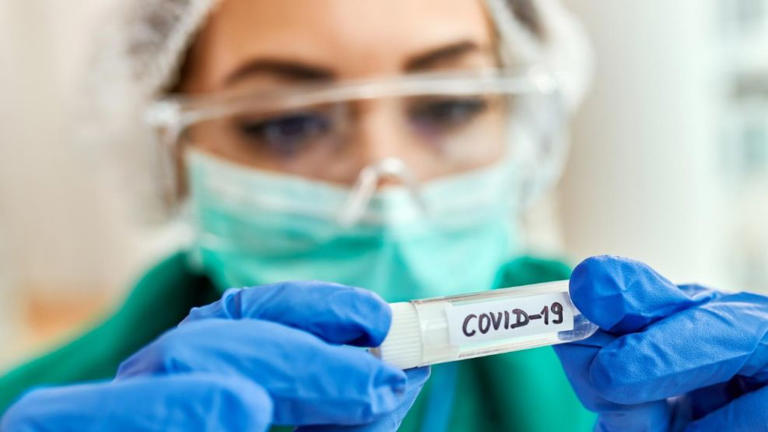 Voici ce que l’on sait du variant XFG « Frankenstein » qui est derrière le rebond de Covid-19 en ...