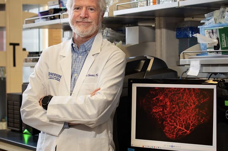 Childhood concussions may trigger long-term brain changes