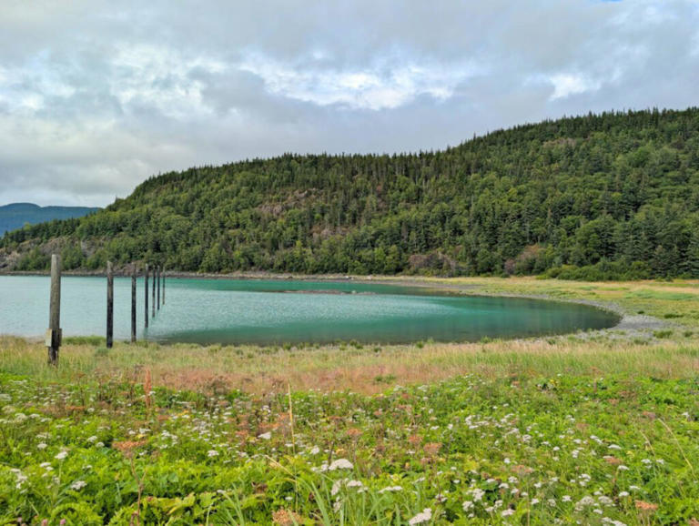 Enjoying Chilkat State Park in Beautiful Haines, Alaska