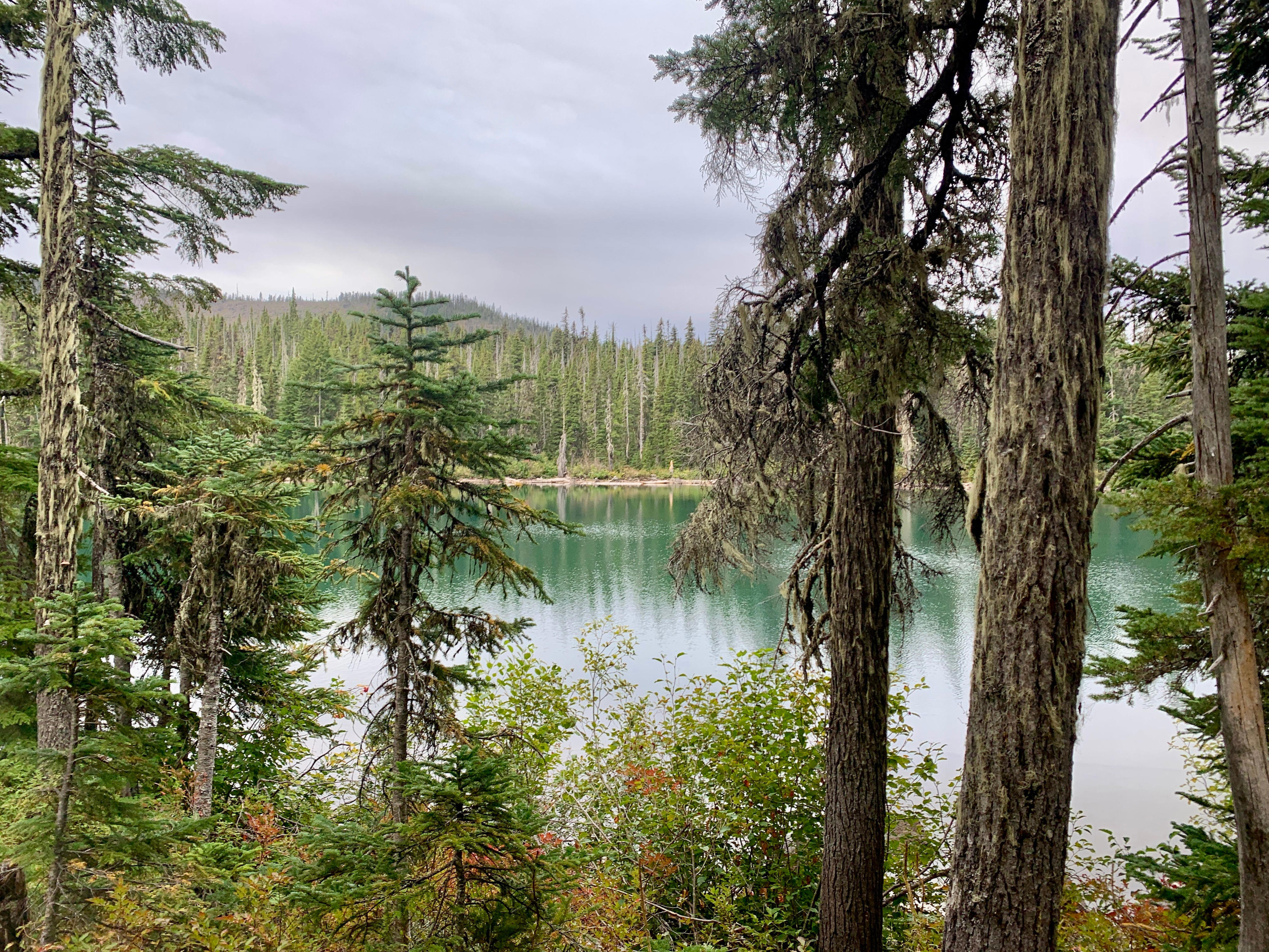 This oddly named Mount Jefferson lake is home to fat and foul-tempered ...