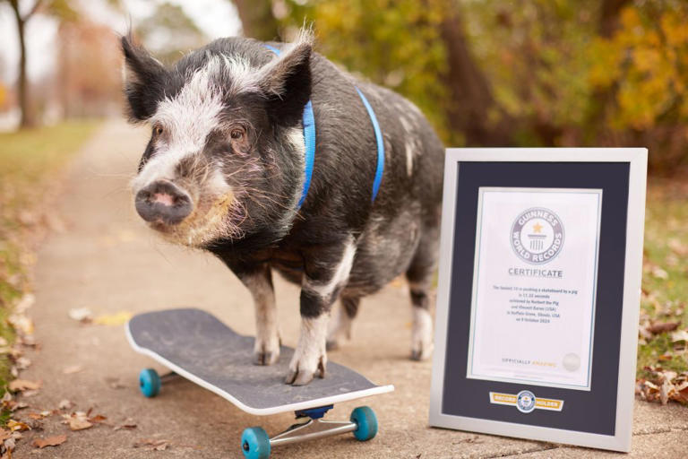 Guinness World Records gives early look at 2026 record breakers