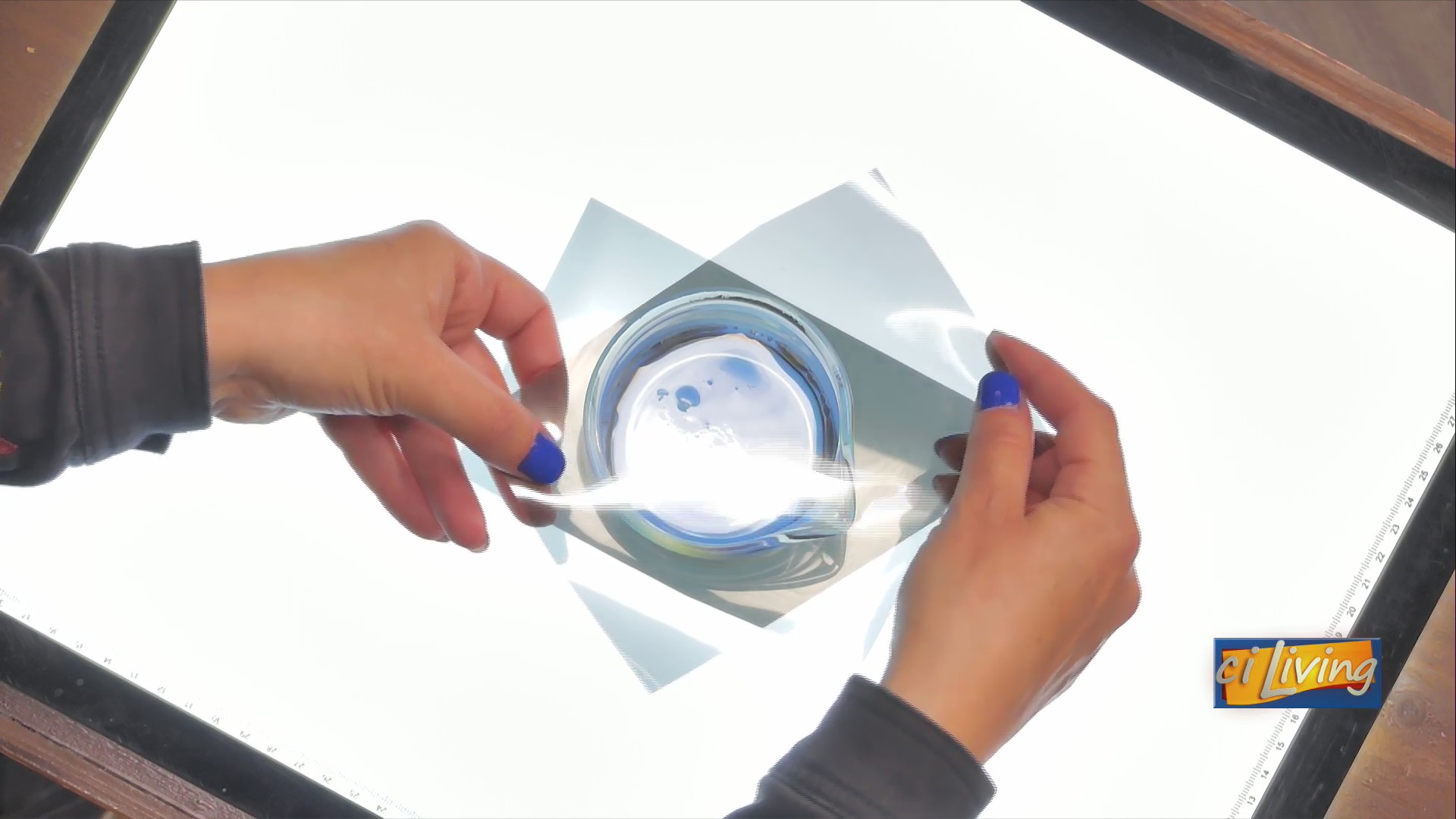 Bee Vision Explained: Polarized Light Experiment