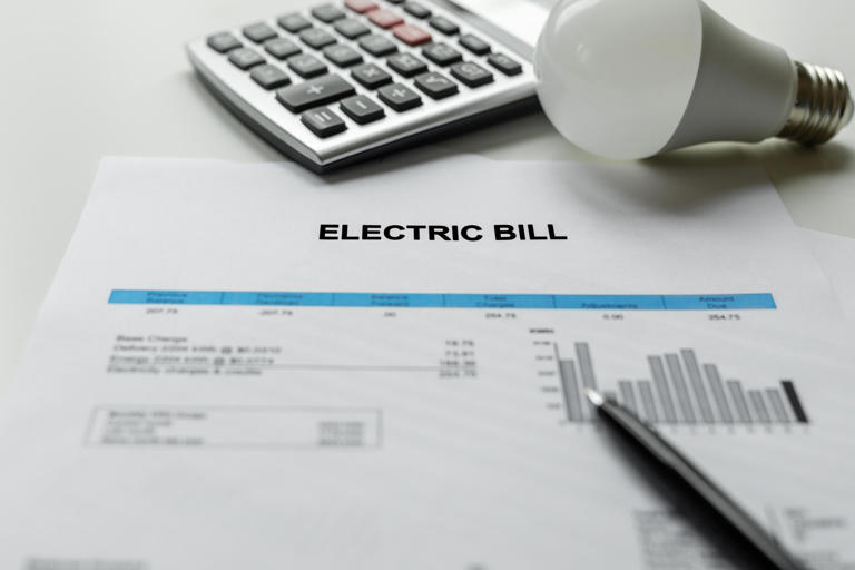 TECO to lower electric rates earlier than planned