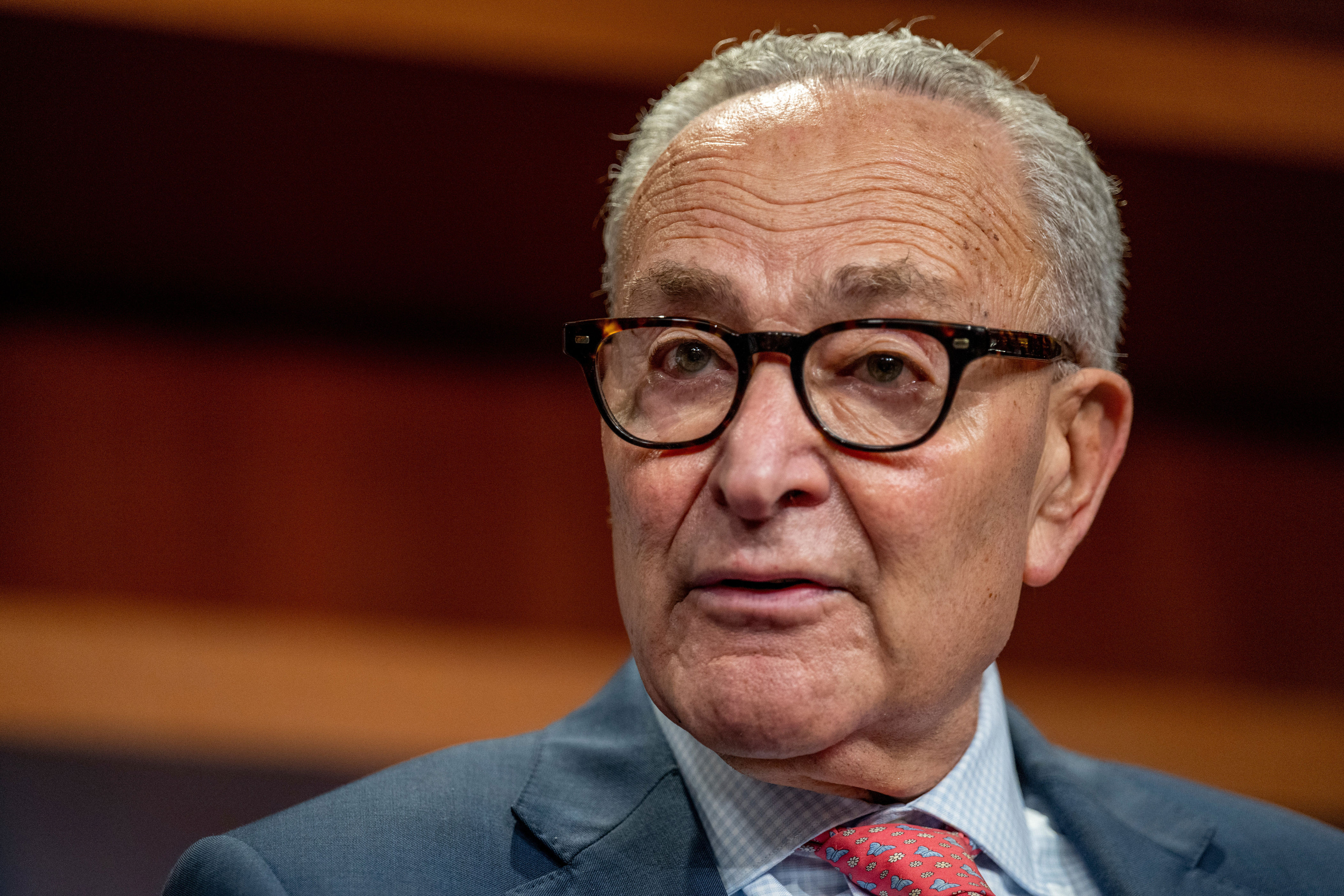 Democrats Running For Senate To Schumer: Don’t Give In On Government ...