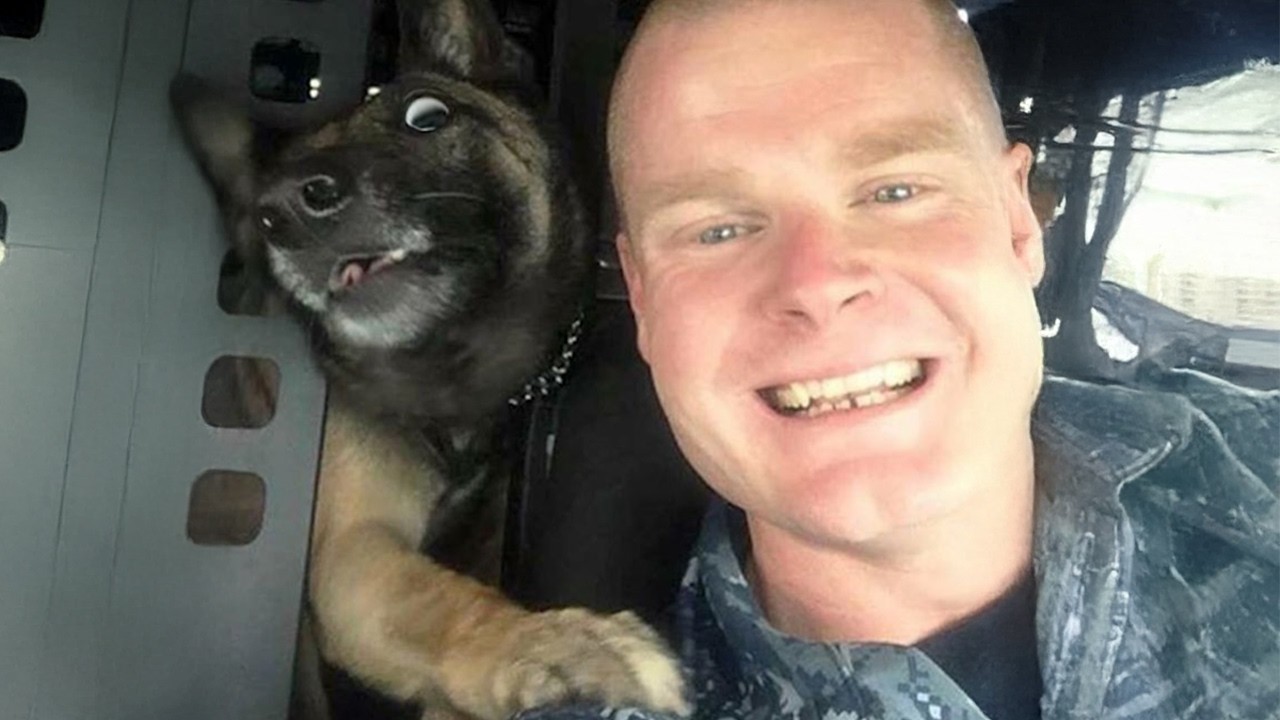Dogs make every day feel like a sitcom