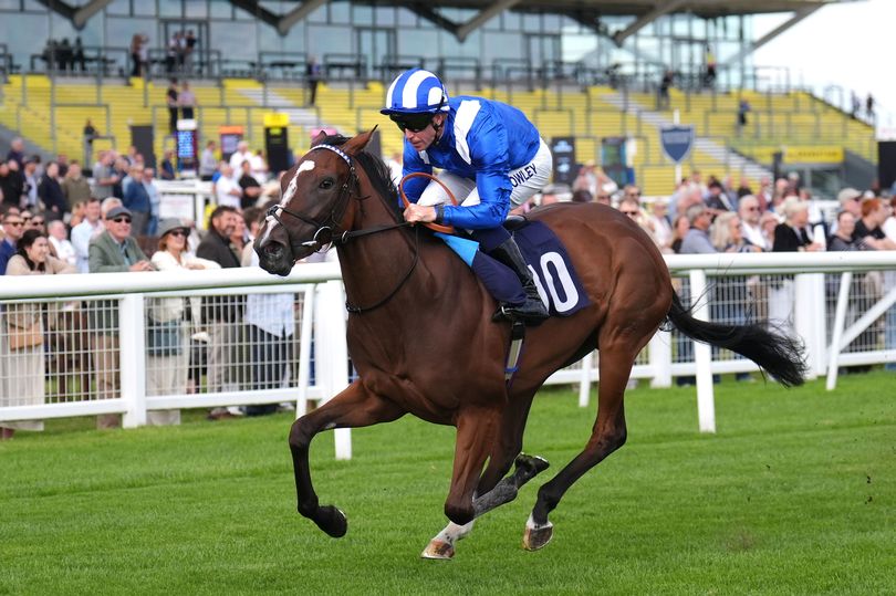 'I tipped 16-1 Kerry National winner – and fancy 66-1 shot on Friday ...