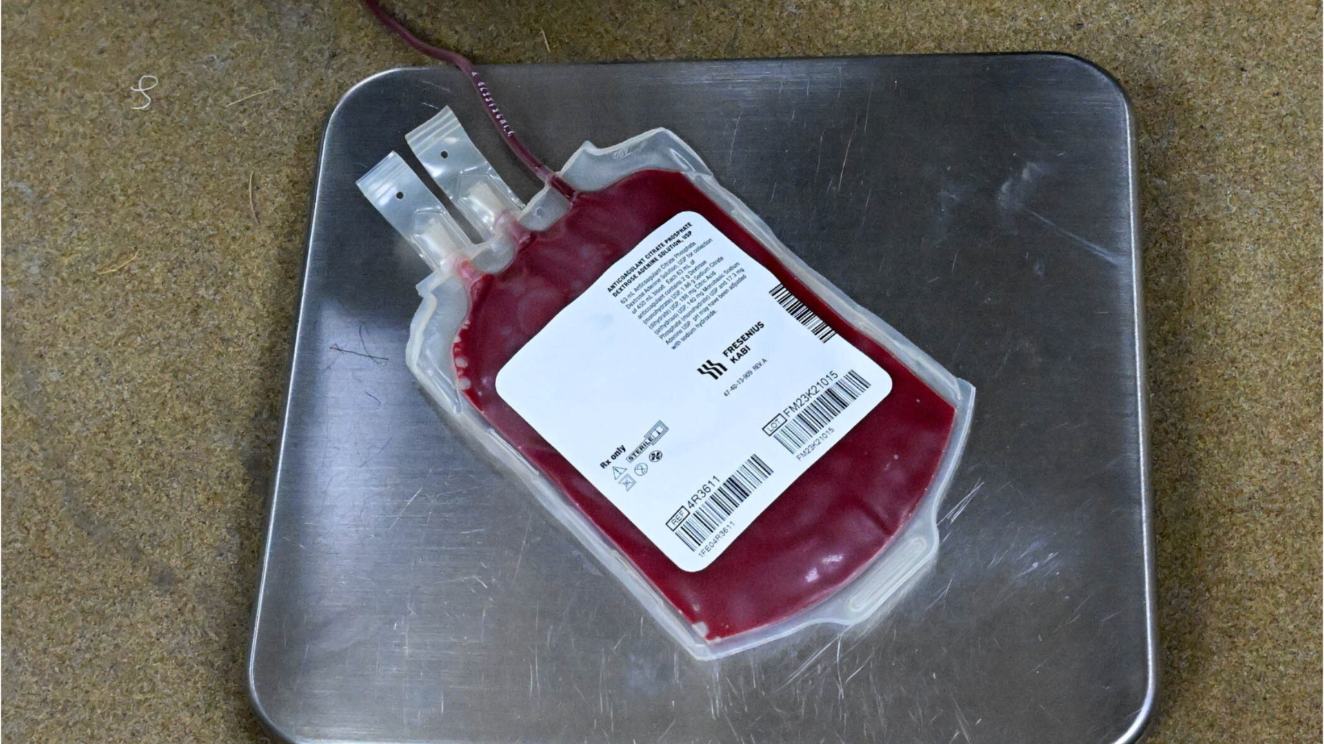 Revolutionary Zoo Blood Bank Could Save Endangered Species