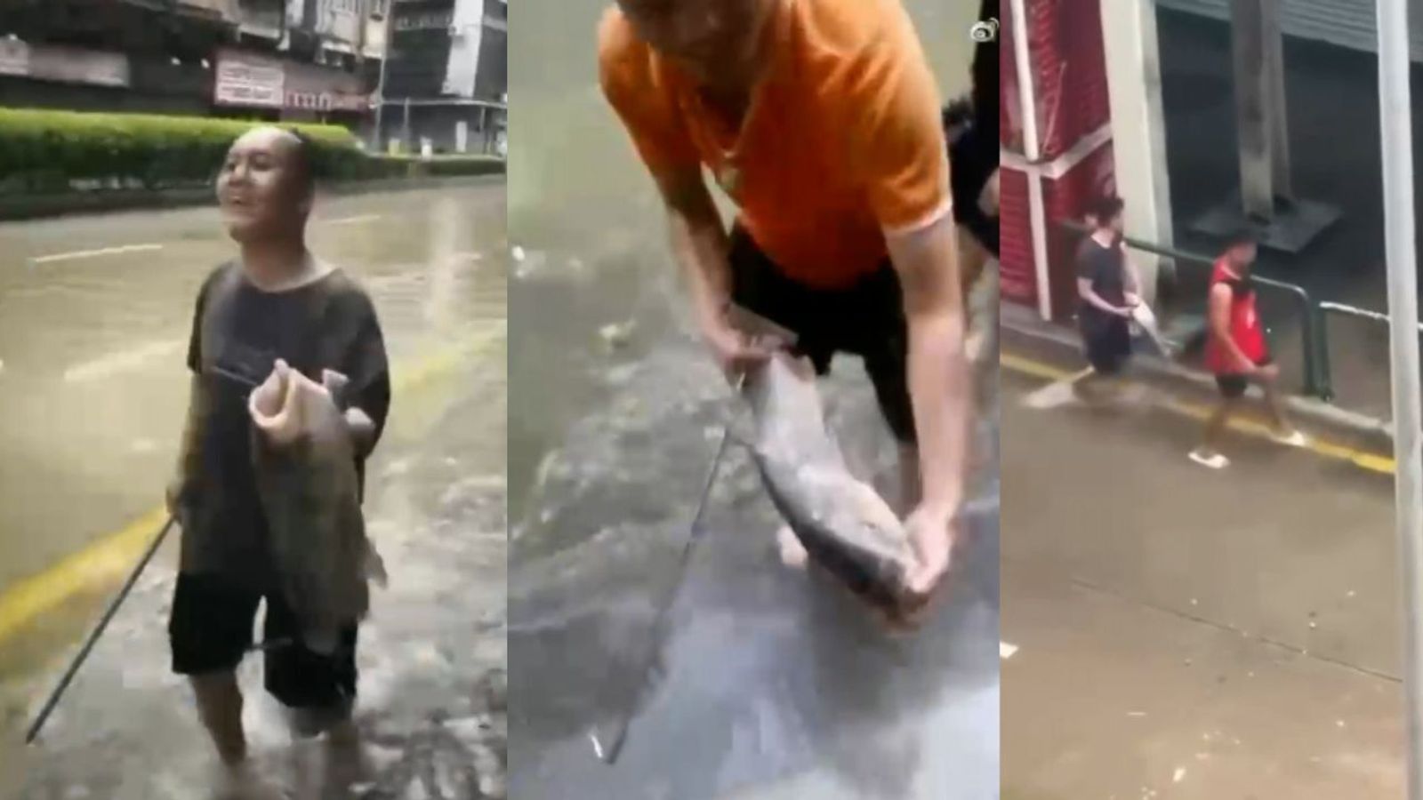 Fish caught on city streets amid typhoon flooding